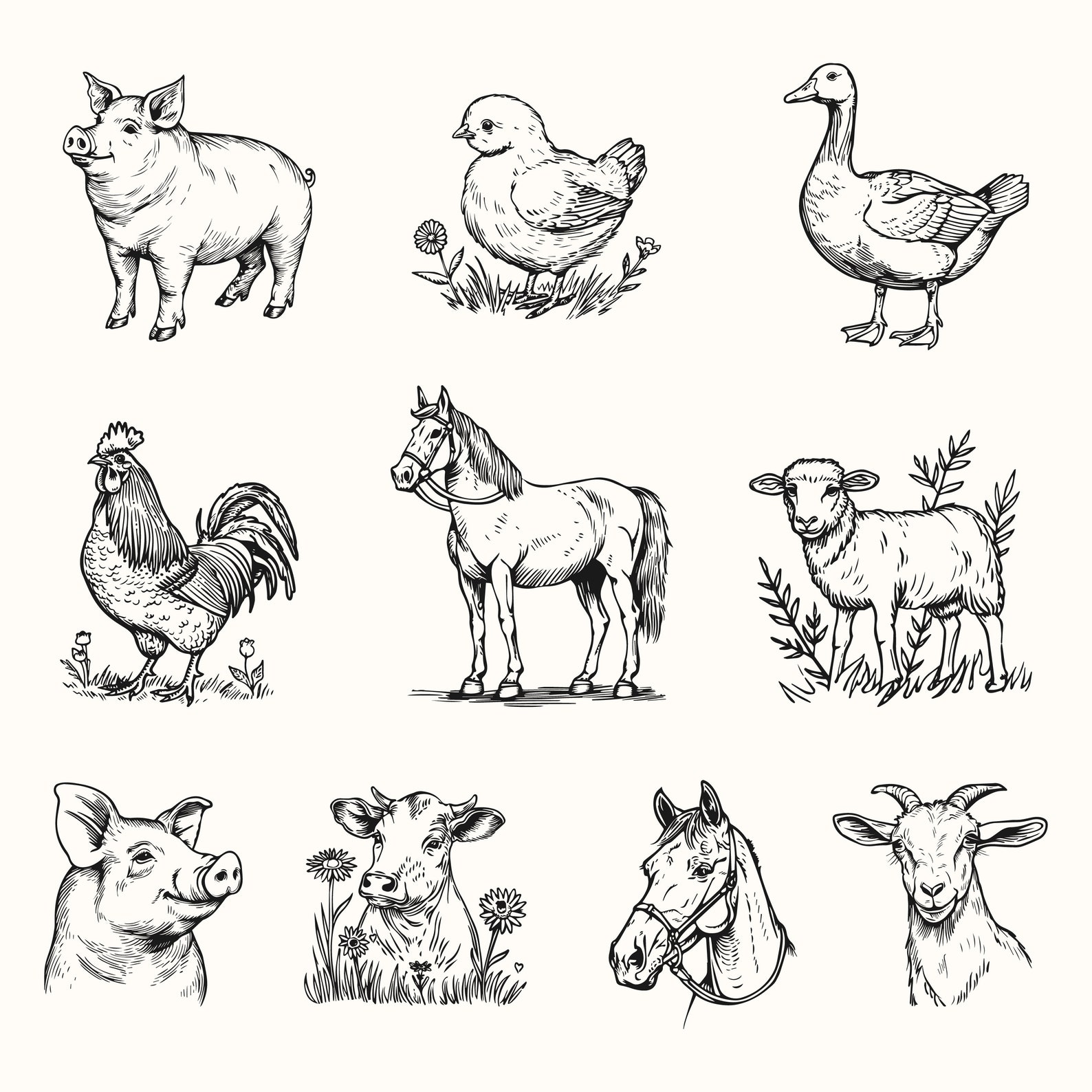 Farm Animals Illustration Set-rustic Farmhouse Clipart Png-farming Clip ...