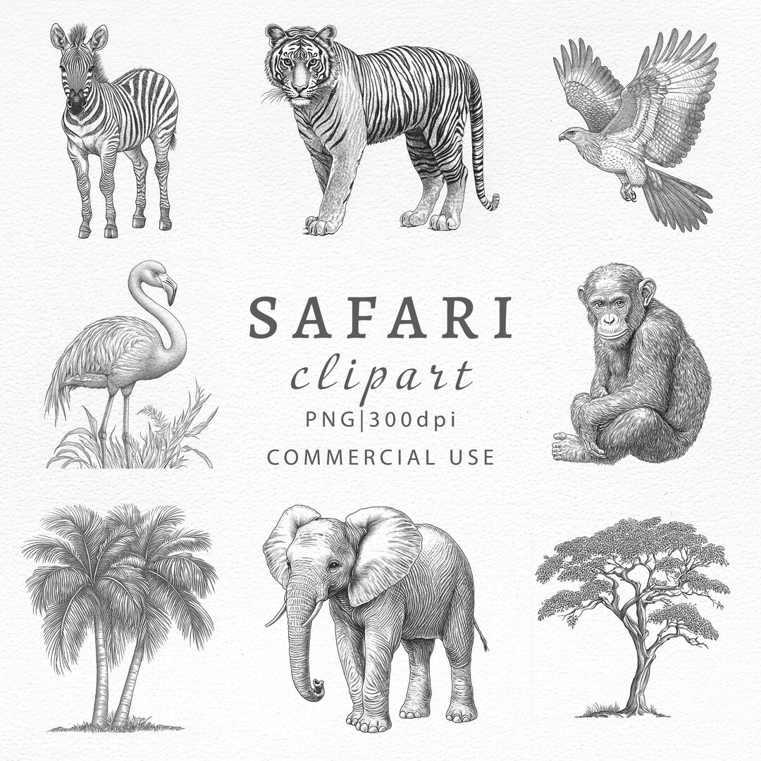 Vintage African Animal Clipart, Safari Wildlife Sketch PNG Bundle ...