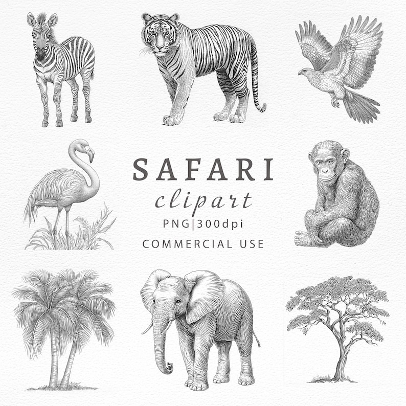 Vintage African Animal Clipart, Safari Wildlife Sketch PNG Bundle ...