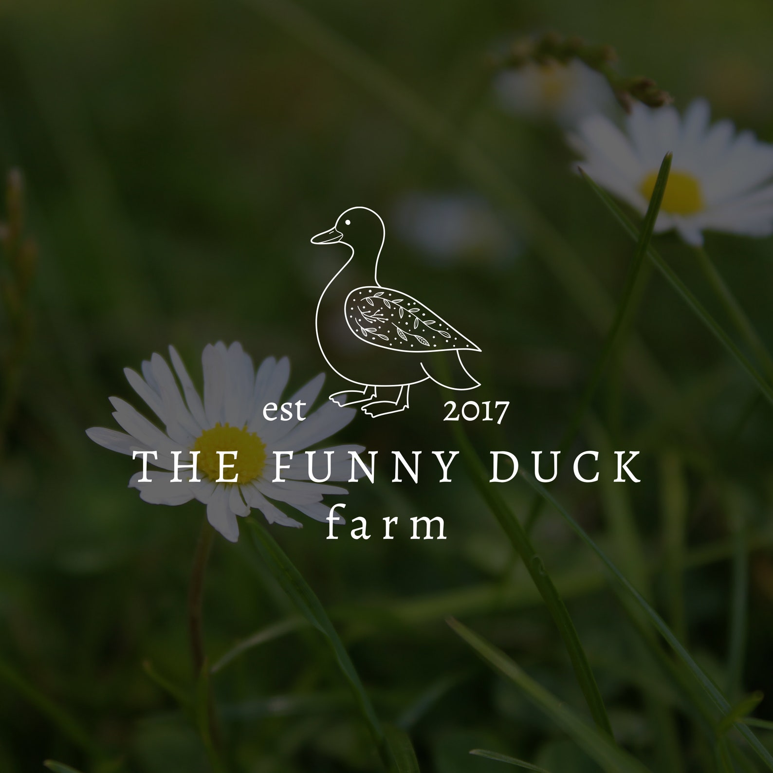 Duck Premade Logo-farm Watermark-farmers Market-farming-line Logo ...