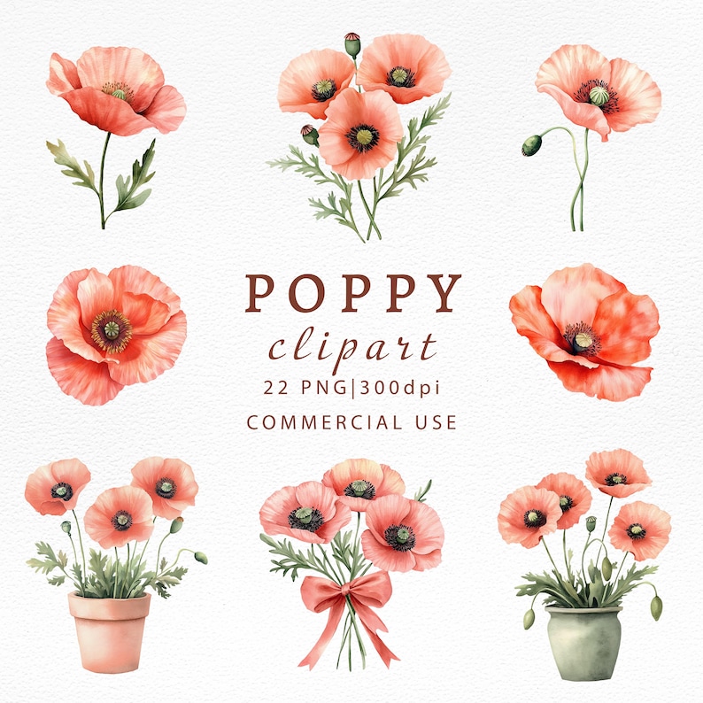 Watercolor Poppy Clipart Set PNG, Floral Illustrations, Red Flower ...