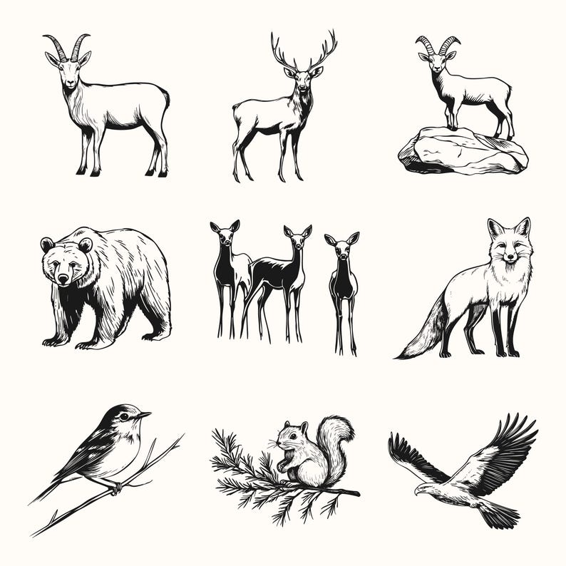 Wildlife Animal Vector Clipart Set, Woodland Animal Illustrations ...