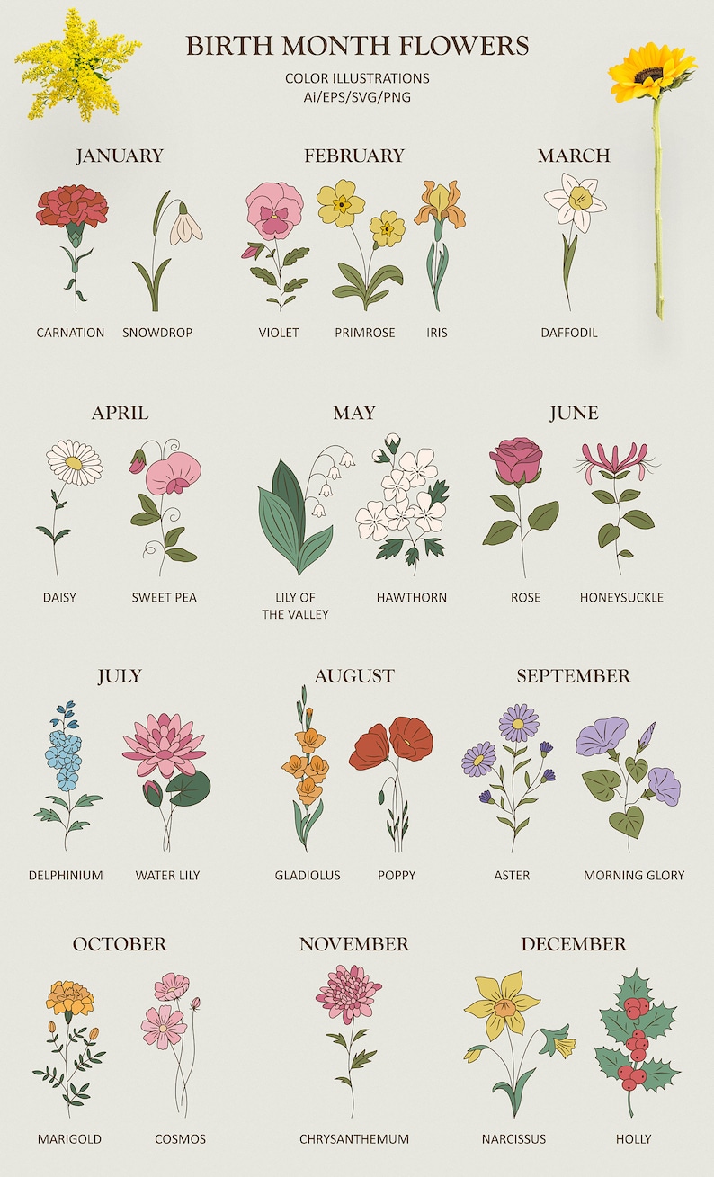 Birth Month Flower Set/birthmonth Bouquet Png/birthmonth Flower Svg ...