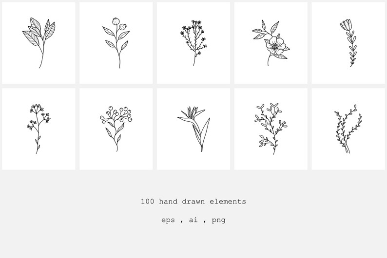 Hand Drawn Flowers Set PNG Flowers Vector Floral Ornament - Etsy