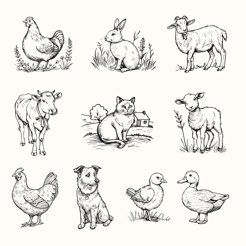Farm Illustration Set-rustic Farmhouse Clipart Png-farming Gardening ...