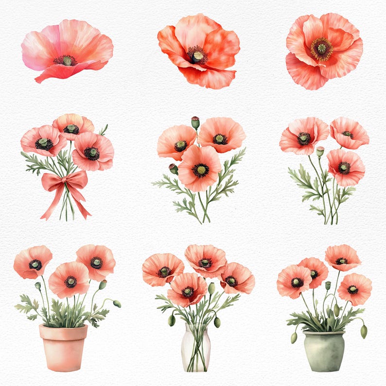 Watercolor Poppy Clipart Set PNG, Floral Illustrations, Red Flower ...