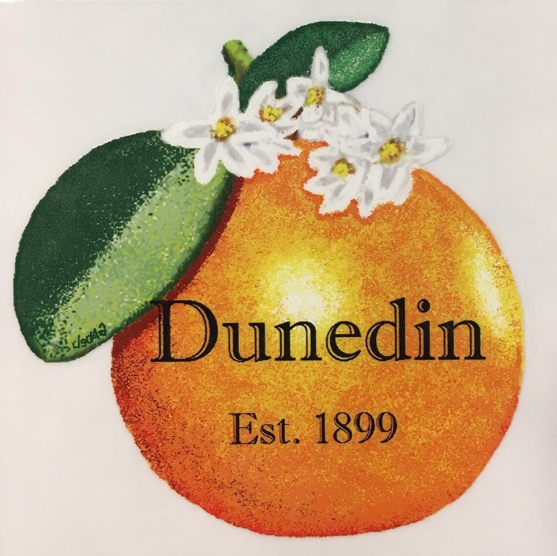 Dunedin Orange Window Decal by Gabelgroves - Etsy