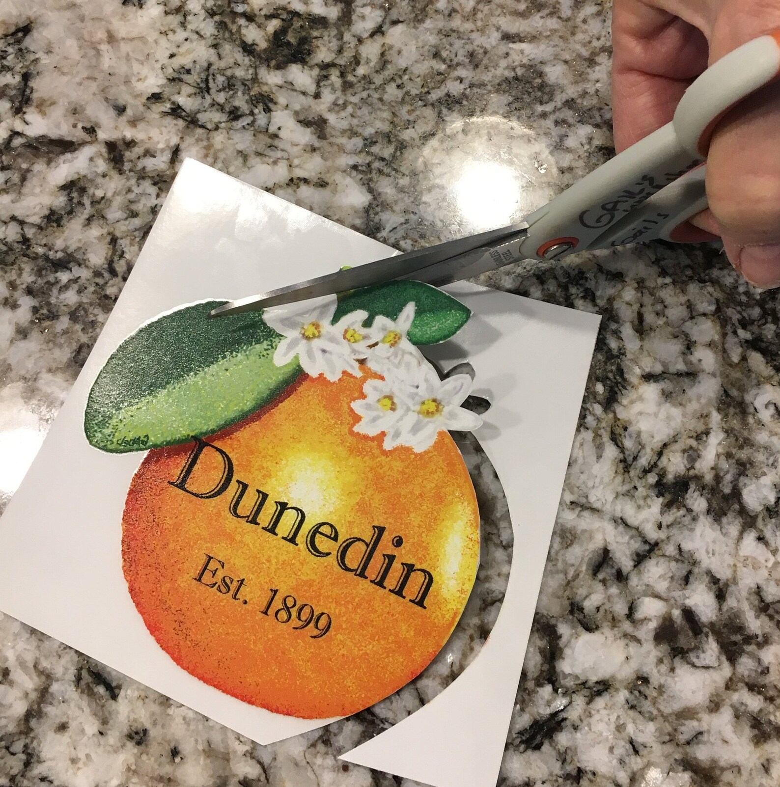 Dunedin Orange Window Decal by Gabelgroves - Etsy