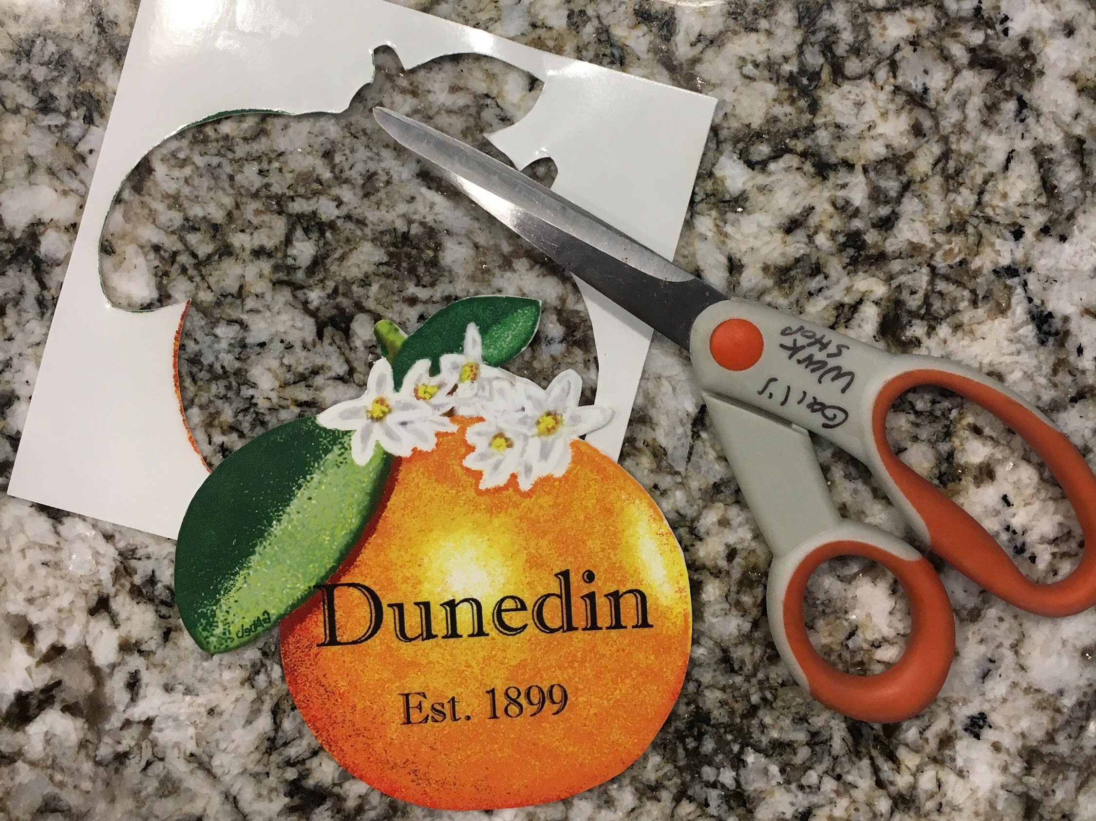 Dunedin Orange Window Decal by Gabelgroves - Etsy