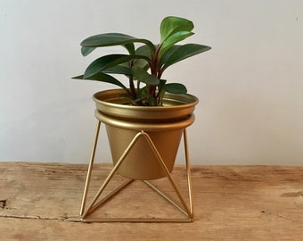 Brass plant stand | Etsy