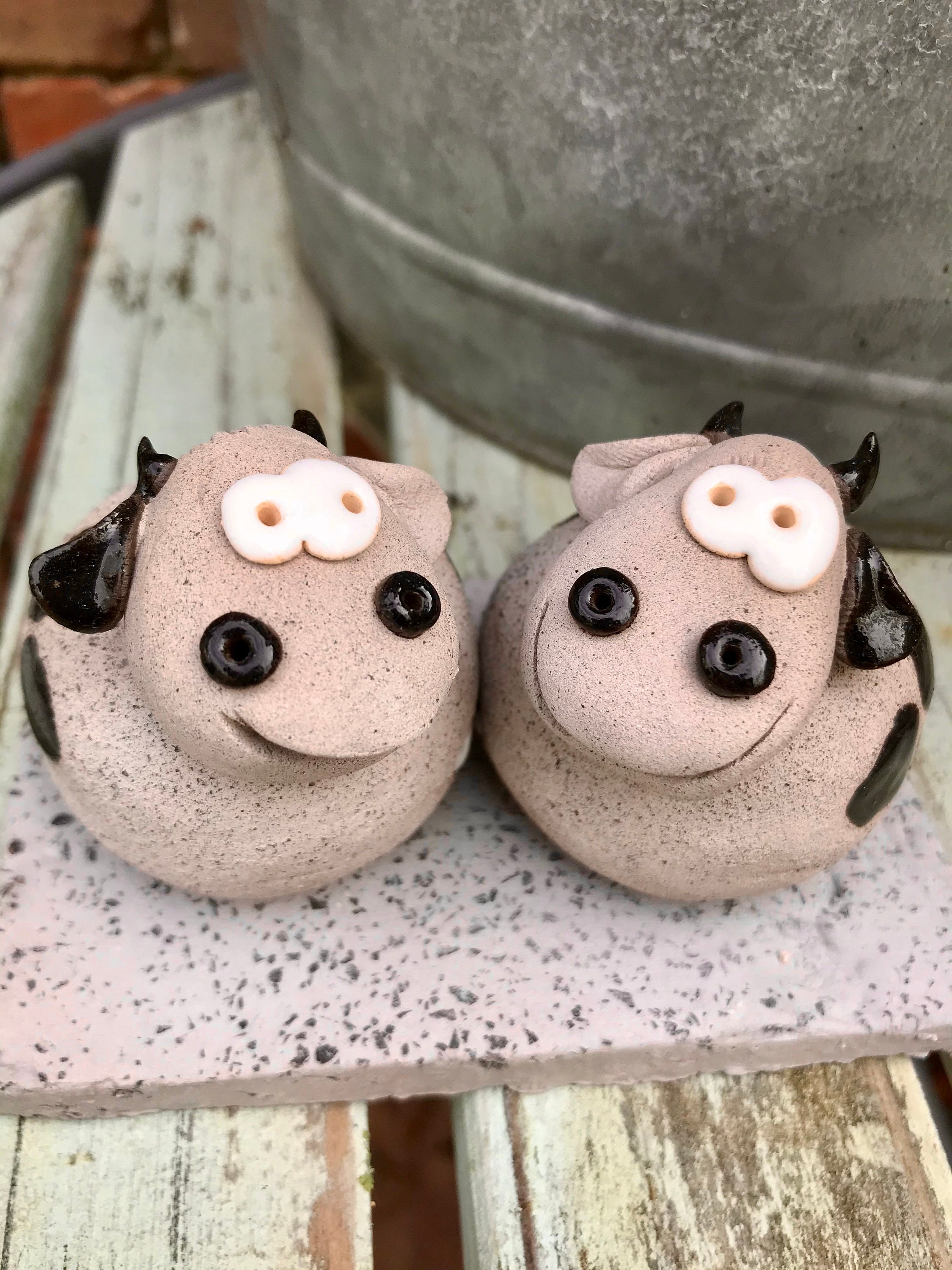 Cow Salt & Pepper Pots, handmade by Darwinworkshop
