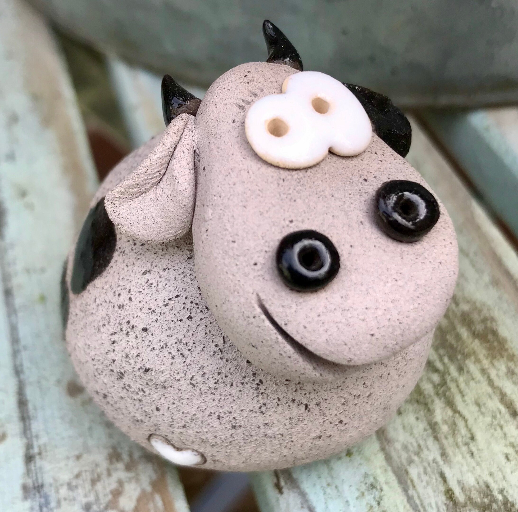 Cow Salt & Pepper Pots, handmade by Darwinworkshop