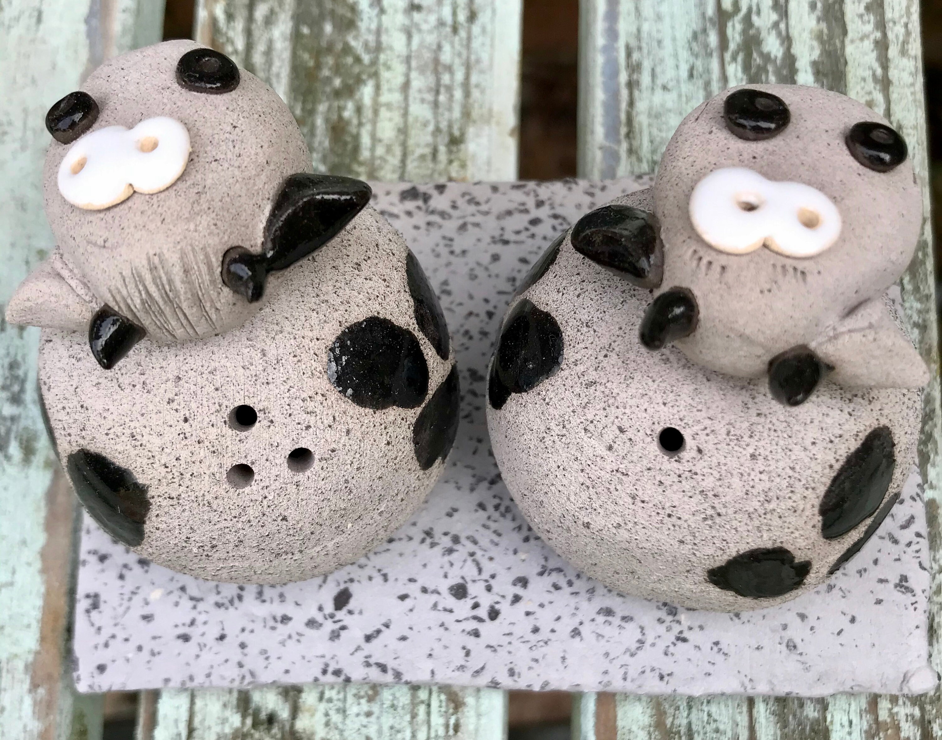 Cow Salt & Pepper Pots, handmade by Darwinworkshop