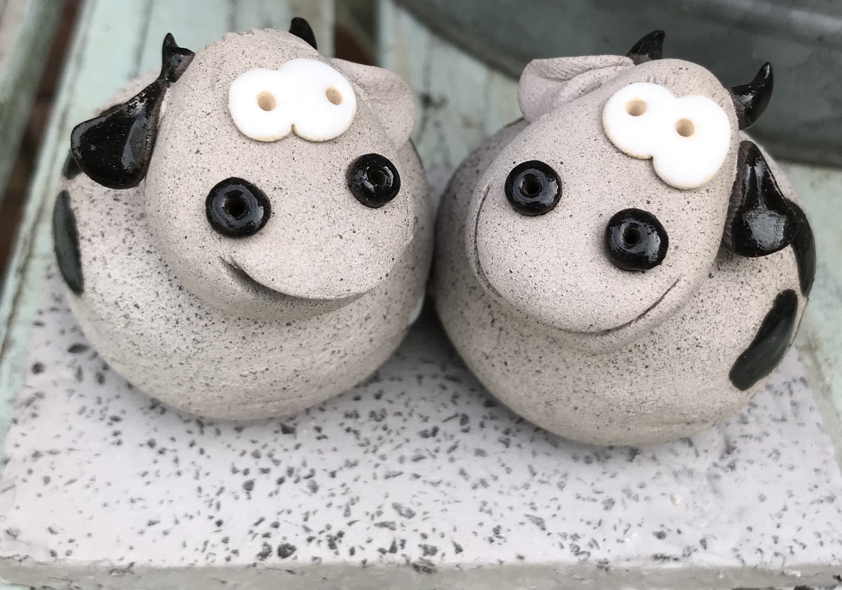 Cow Salt & Pepper Pots, handmade by Darwinworkshop