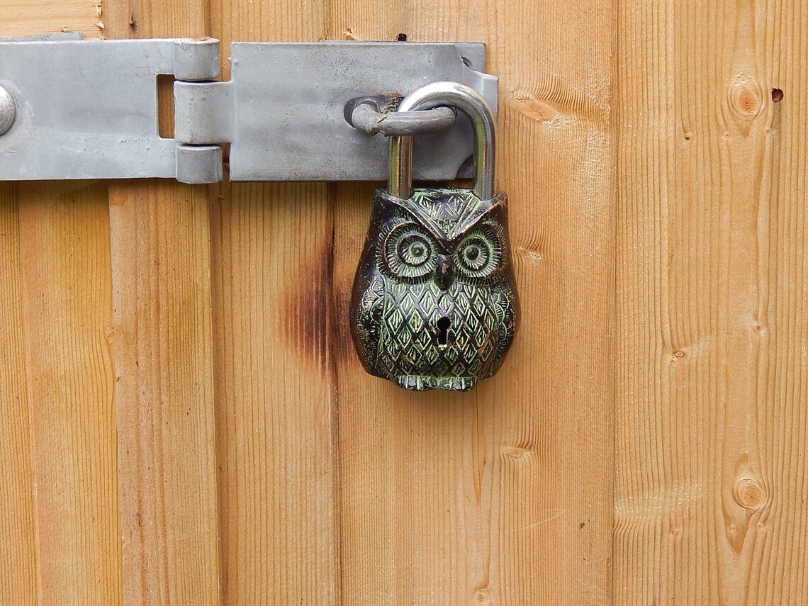 Owl Padlock | Etsy