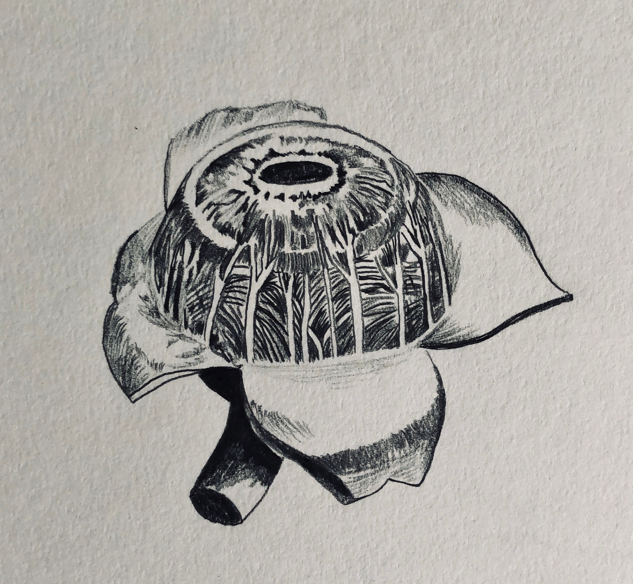 Human Eye Drawing Anatomical Drawing Anatomy Art Medicine | Etsy