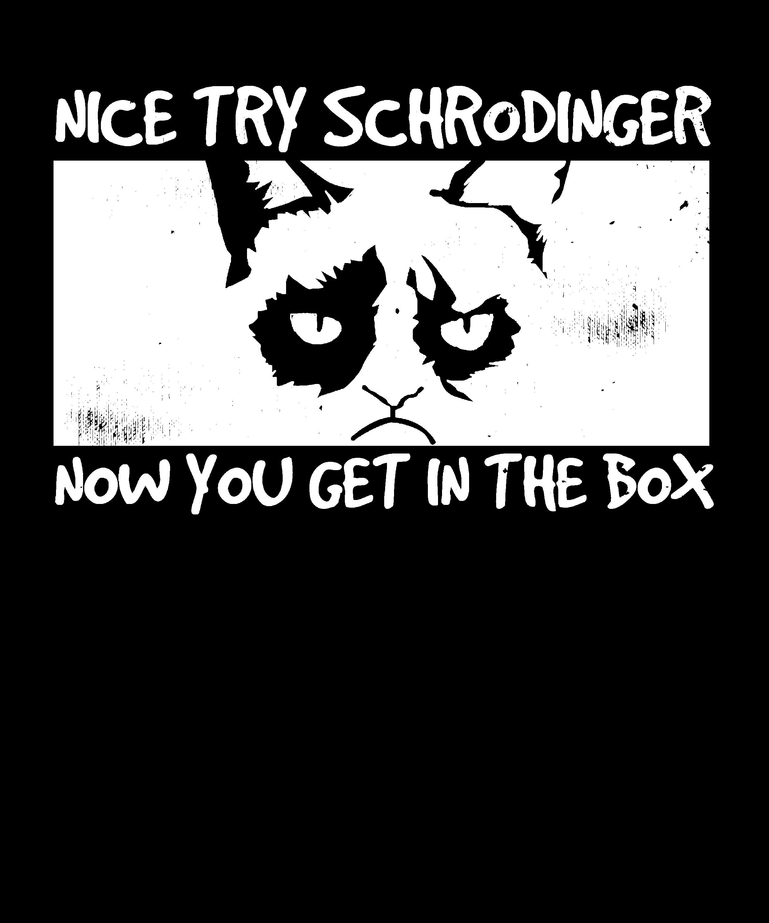 Science Shirt, Science Gift, Funny Science, Schrodingers Cat, Cat Shirt ...