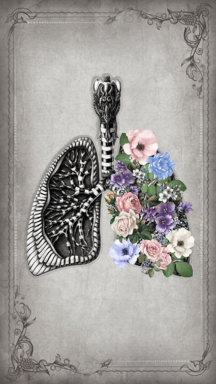 Set of 3 Anatomy Floral Human Anatomy Print Art Brain - Etsy