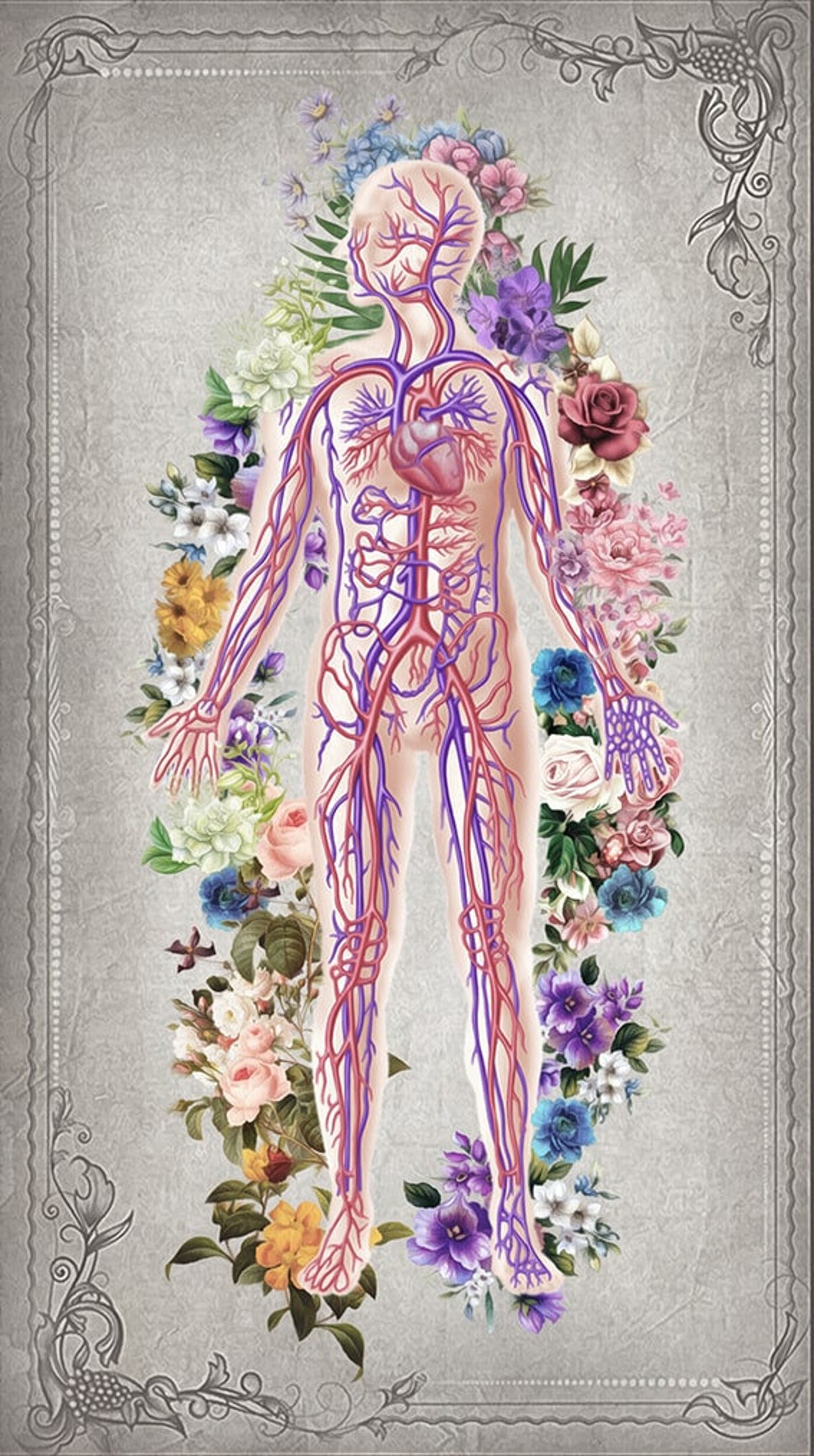 Blood Vessels Print Circulatory System Canvas Art Human - Etsy