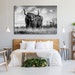 Highland Cow Art, Highland Cow Poster, Bulls Horns, Yak Canvas Art ...