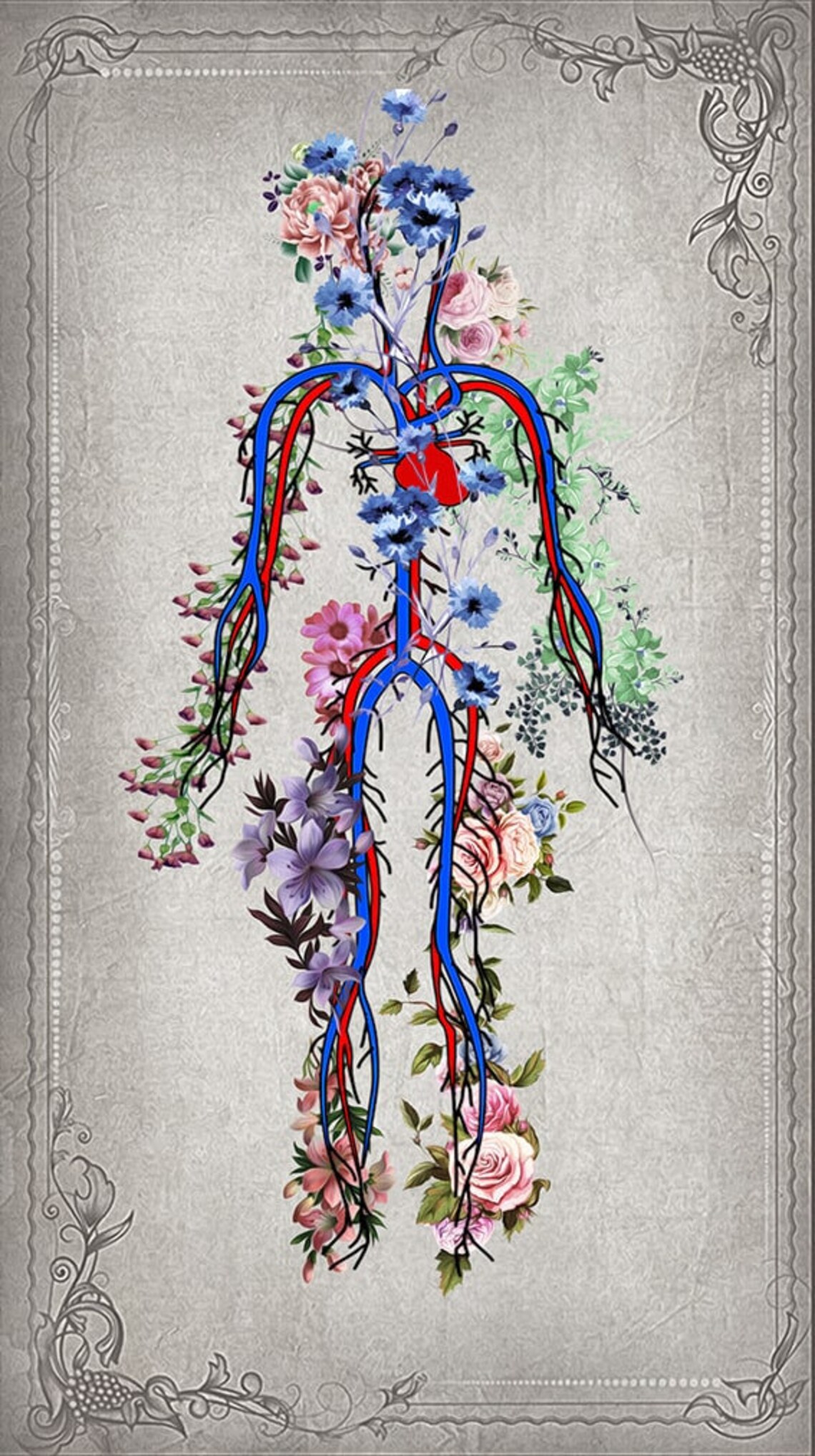 Blood Vessels Print Circulatory System Canvas Art Human | Etsy