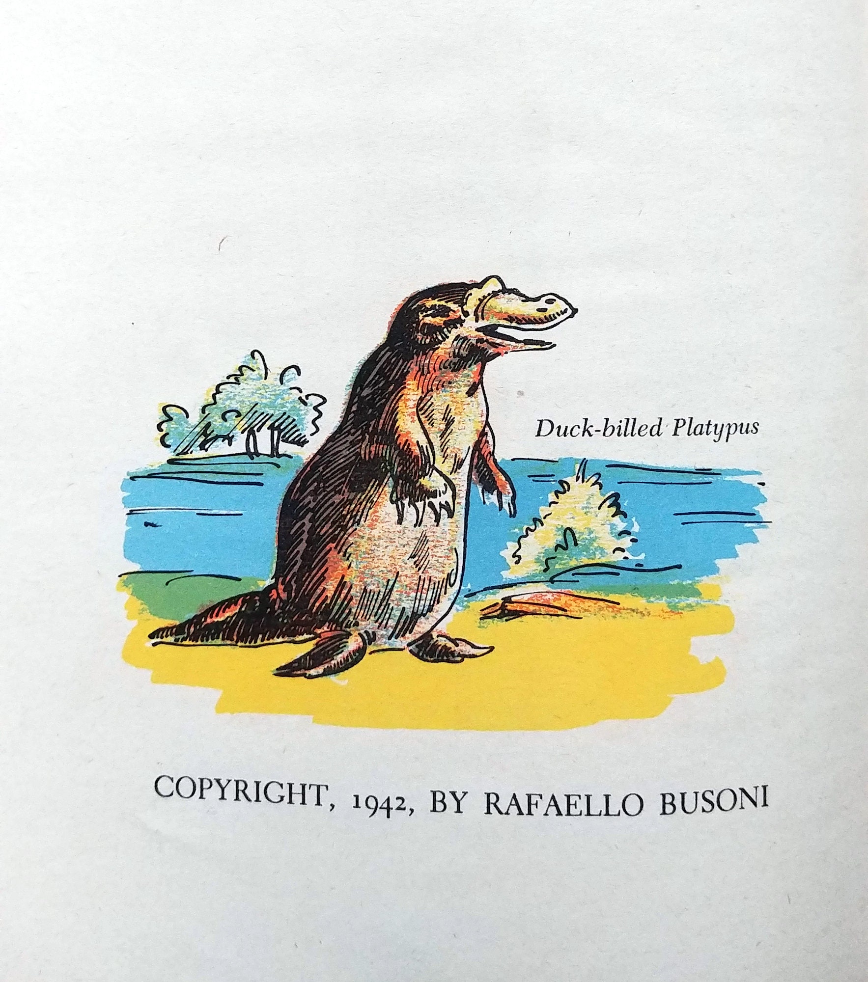 AUSTRALIA by Rafaello Busoni, 1942, 1st Edition in Dust Jacket - Etsy ...
