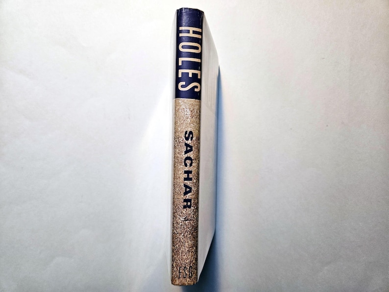 Holes by Louis Sachar a First Edition Newbery Award Winner - Etsy