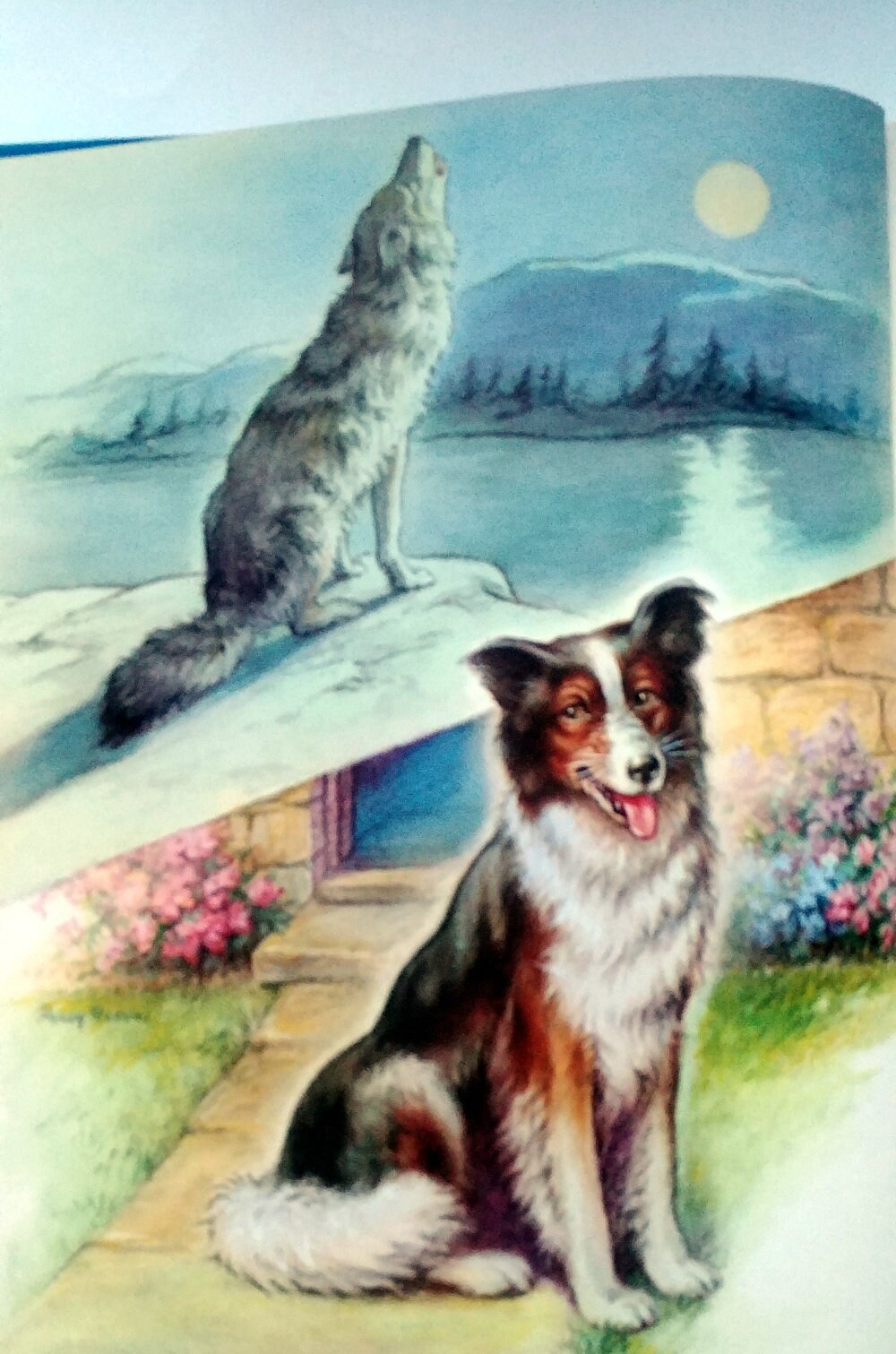 Percy Reeves FRIENDLY ANIMALS Hard Cover Large Picture - Etsy