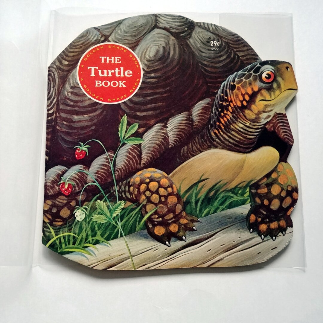 TURTLE BOOK: A Golden Shape Book, Mel Crawford, 1965 - Etsy