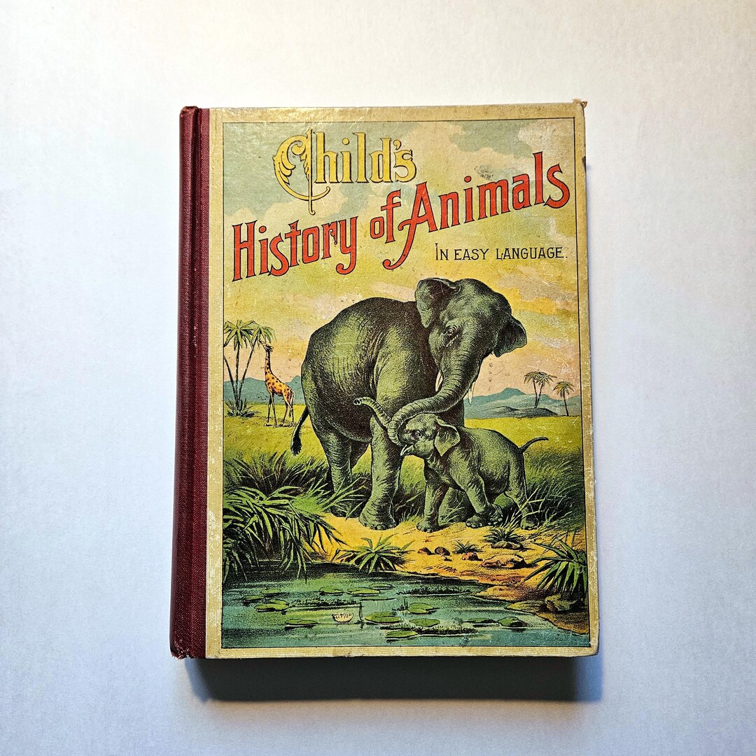 CHILD'S HISTORY of ANIMALS in Easy Language 1903, See Description - Etsy
