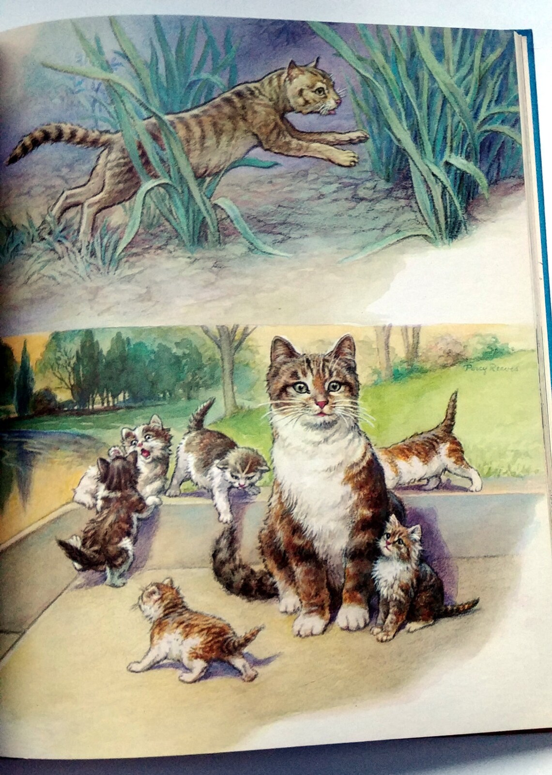 Percy Reeves FRIENDLY ANIMALS hard cover large picture | Etsy