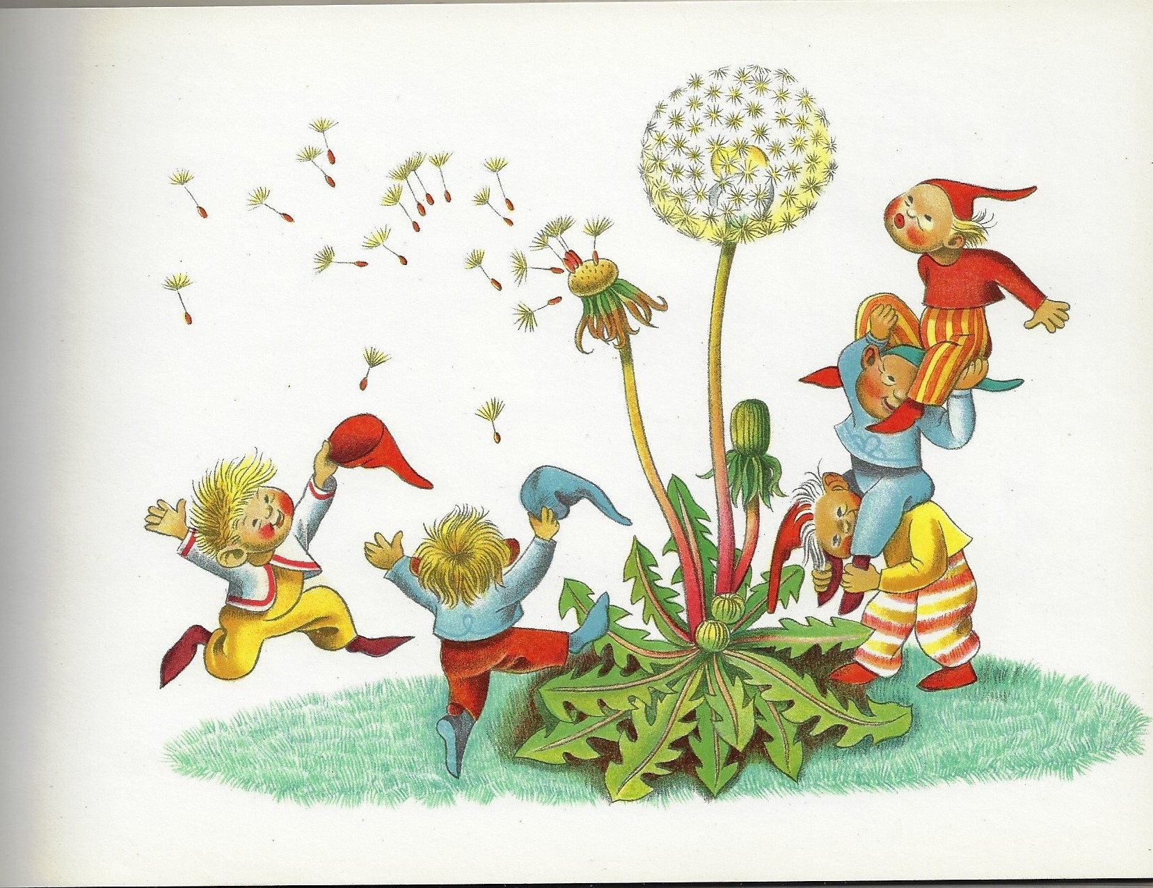 Wordless Picture Book, HINDEREM BARGLE Bi TIERLIE Und Zwargli ...