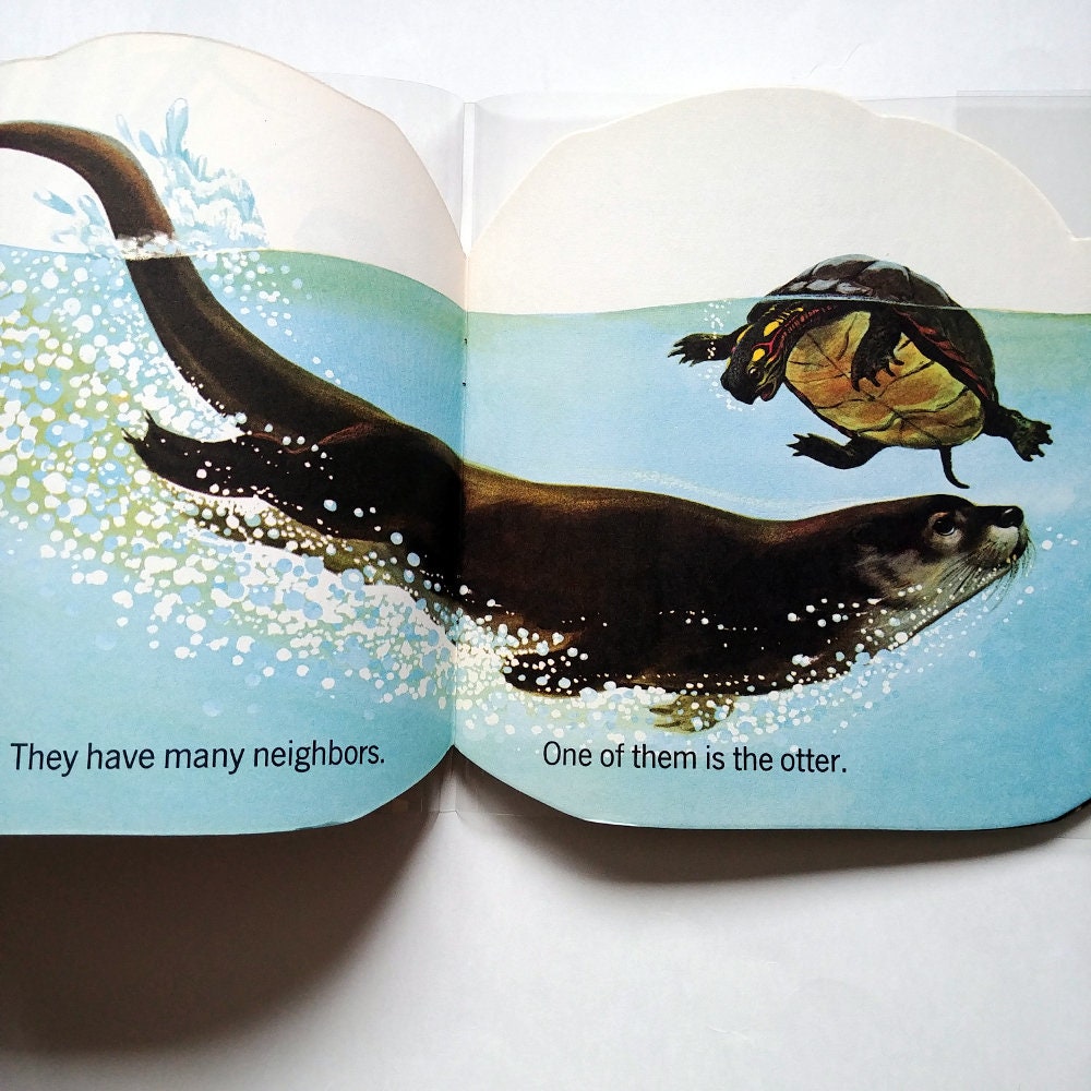 TURTLE BOOK: A Golden Shape Book, Mel Crawford, 1965 - Etsy