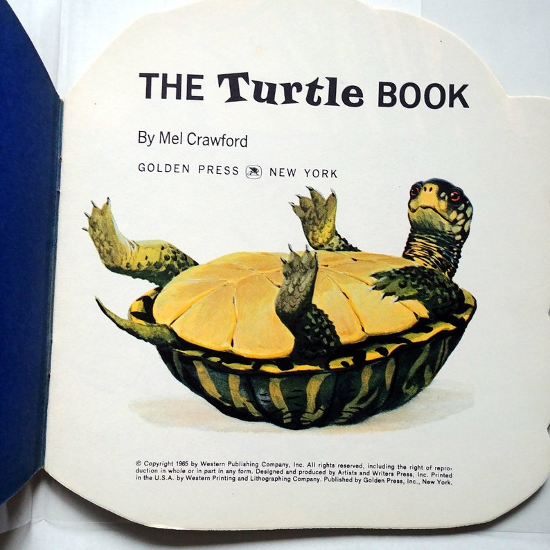 TURTLE BOOK: A Golden Shape Book, Mel Crawford, 1965 - Etsy
