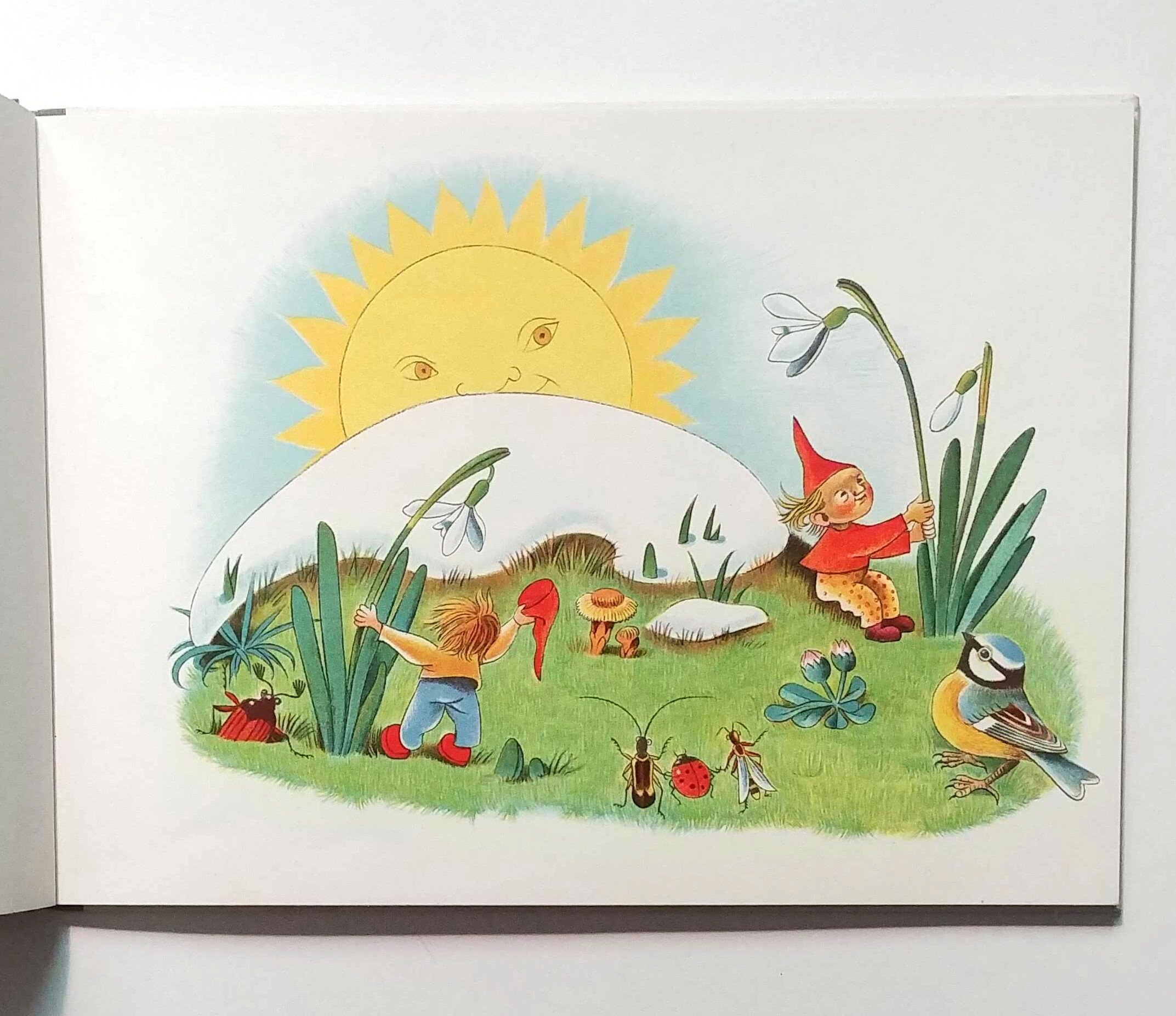 Wordless Picture Book, HINDEREM BARGLE Bi TIERLIE Und Zwargli ...