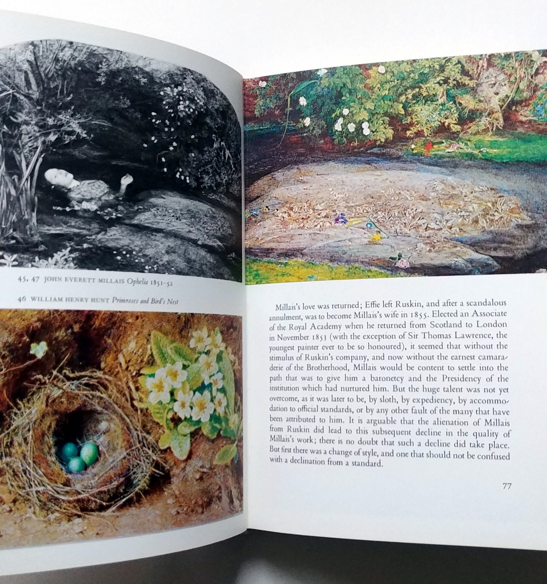 Timothy Hilton PRE-RAPHAELITES, 1970, Art History - Etsy