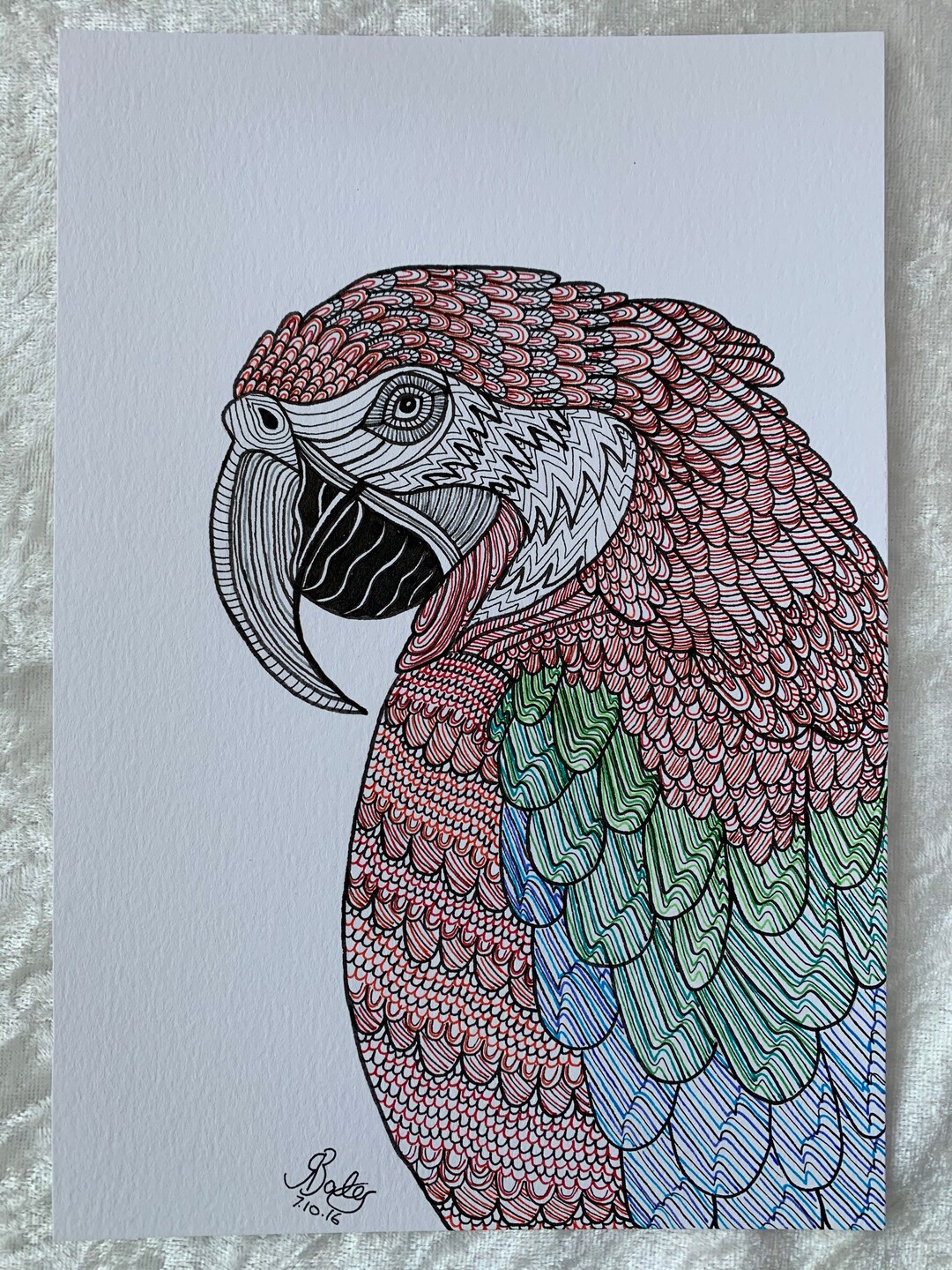 A5 Scarlet Macaw Original Pen and Ink Drawing, Unframed Jungle Wildlife ...