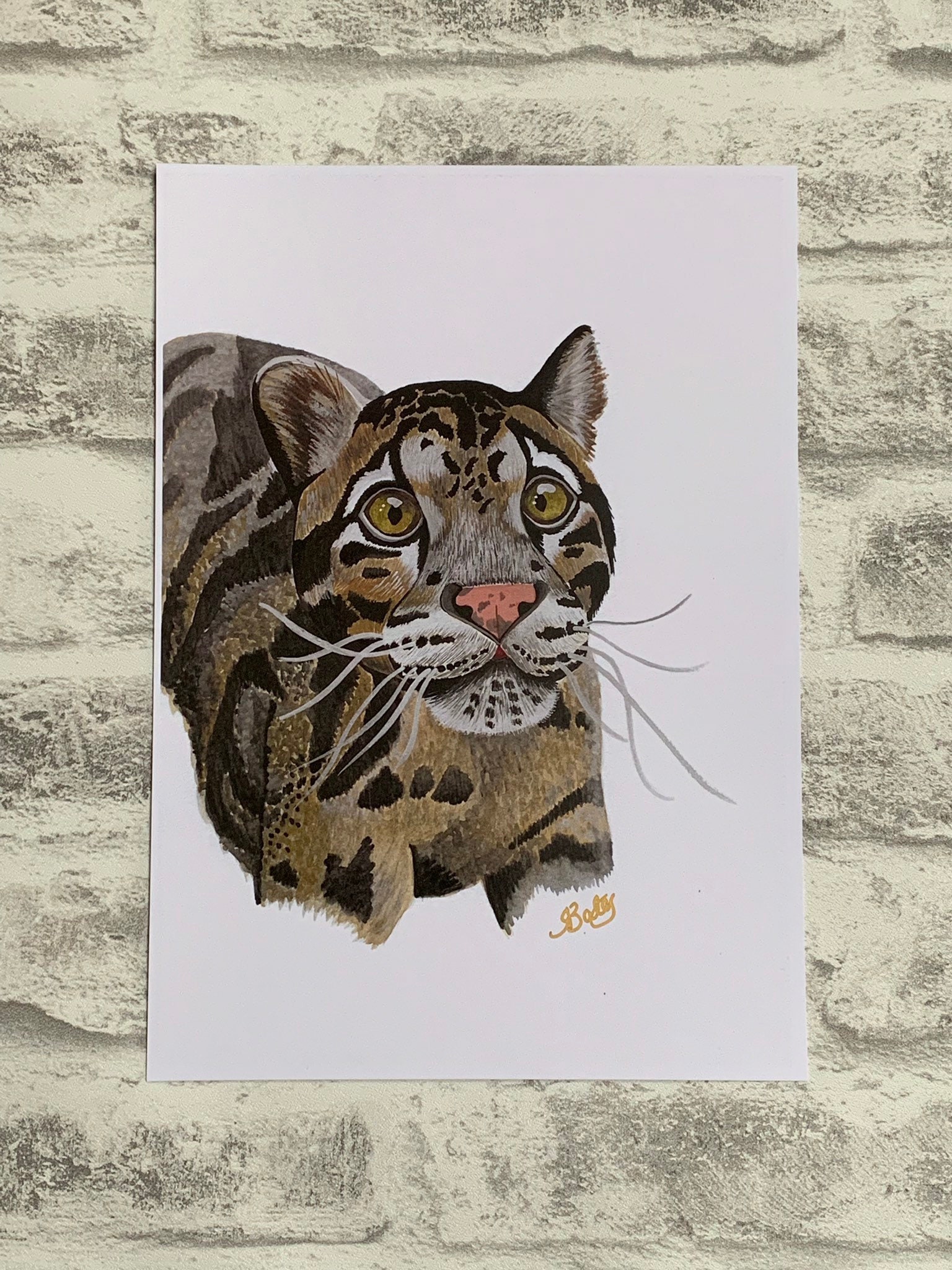 Clouded Leopard Pattern