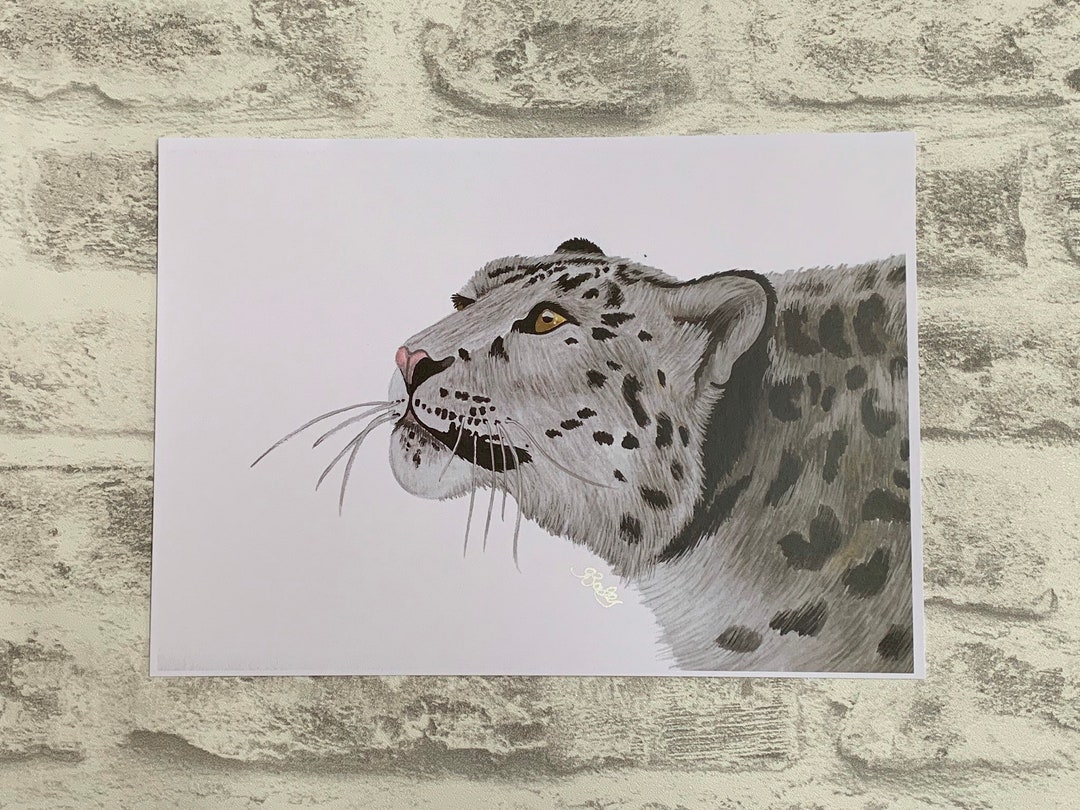A4 Snow Leopard Print From Original Watercolour Painting, Unframed ...