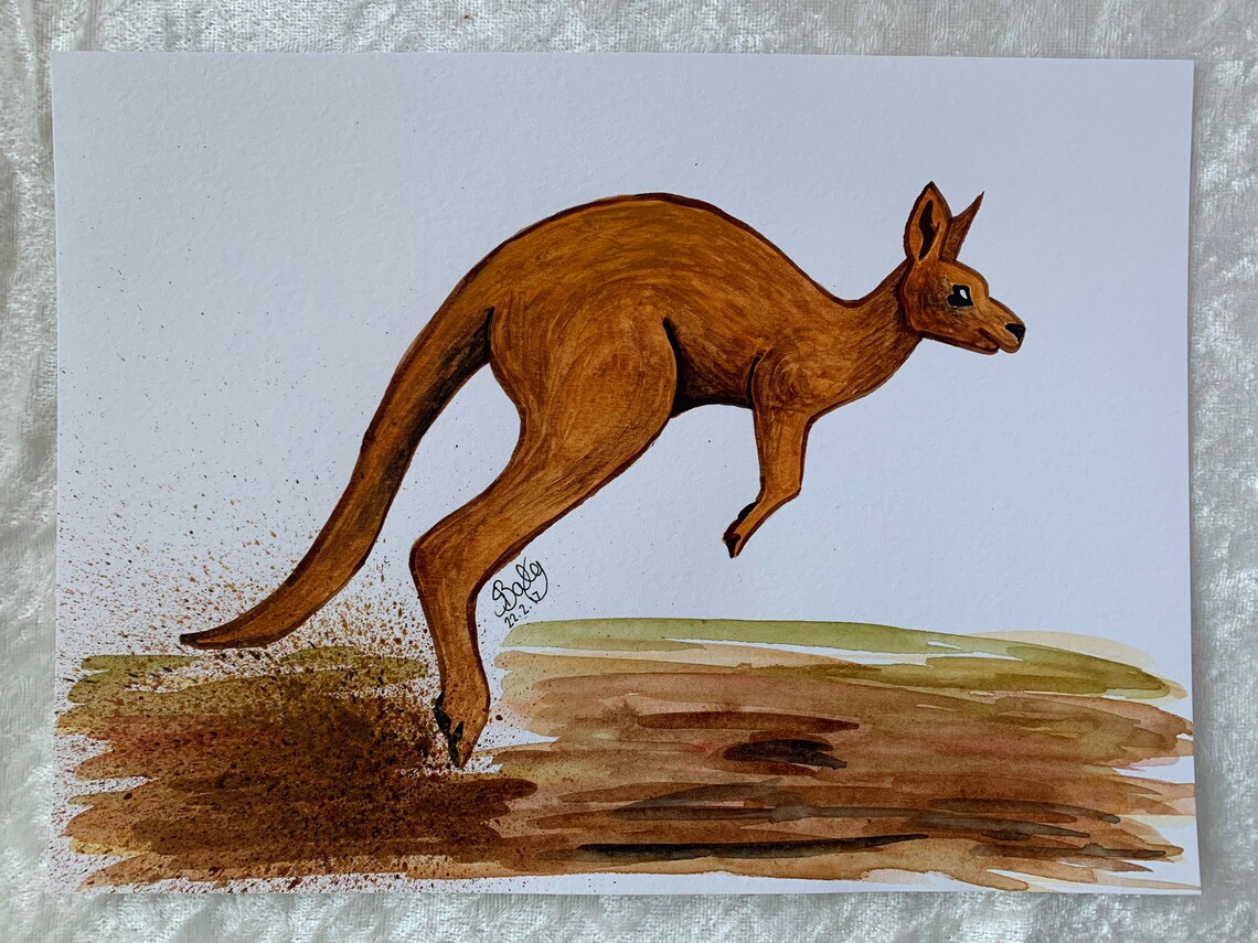 A5 Kangaroo Original Watercolour Painting Unframed Animal | Etsy