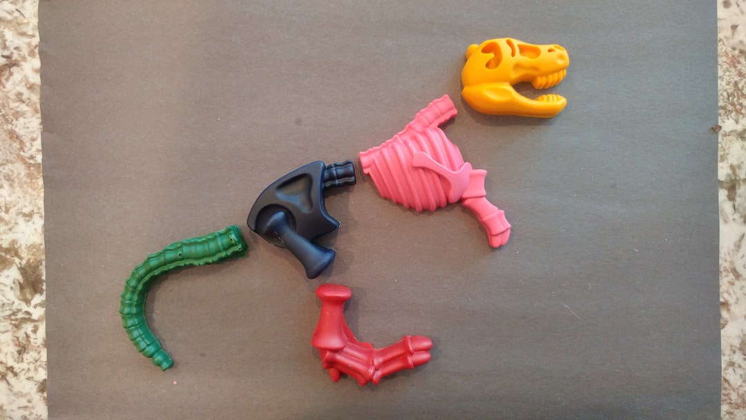Dinosaur Skeleton Crayons T-rex Fossil Crayons 5 Piece Set - Etsy