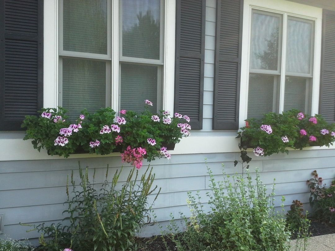 Hanging Garden Planters for Windows, Fences, Ect - Etsy