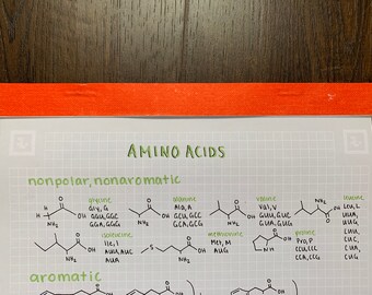 Biochemistry Amino Acids Reference Sheet - Etsy
