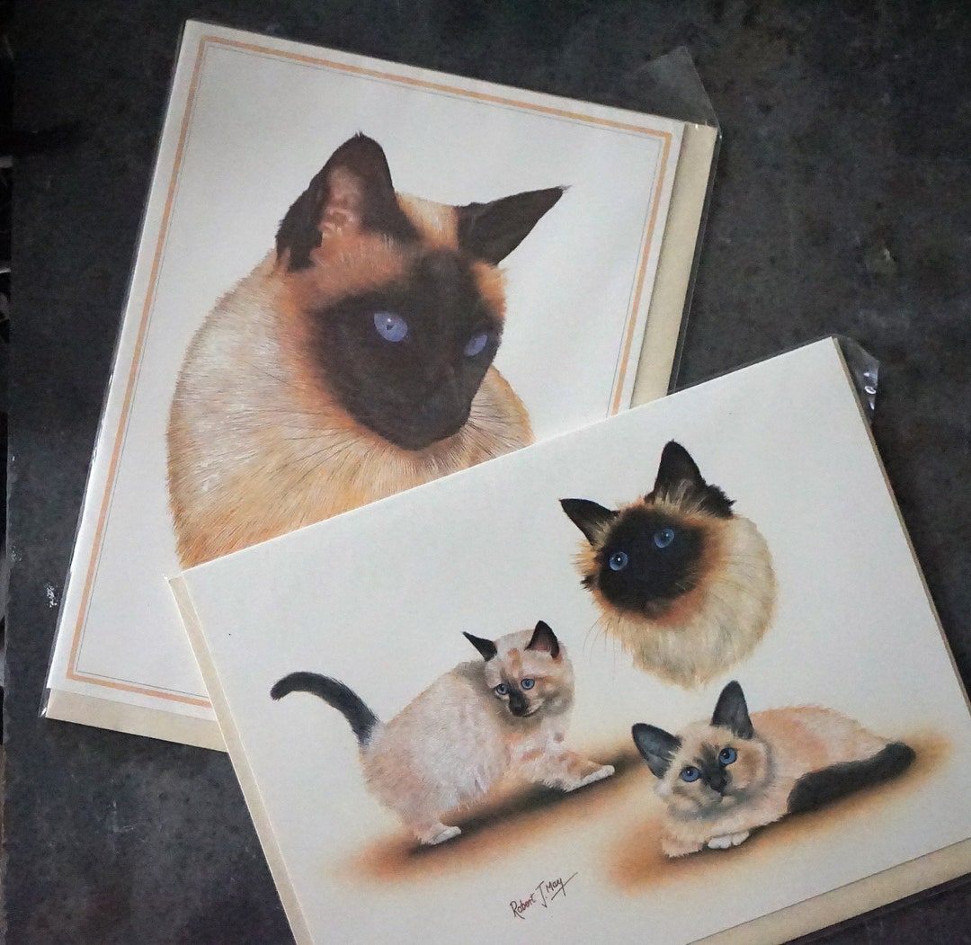 Cat Greeting Card Robert May, Birman, Siamese, Large Art Card, Blank ...