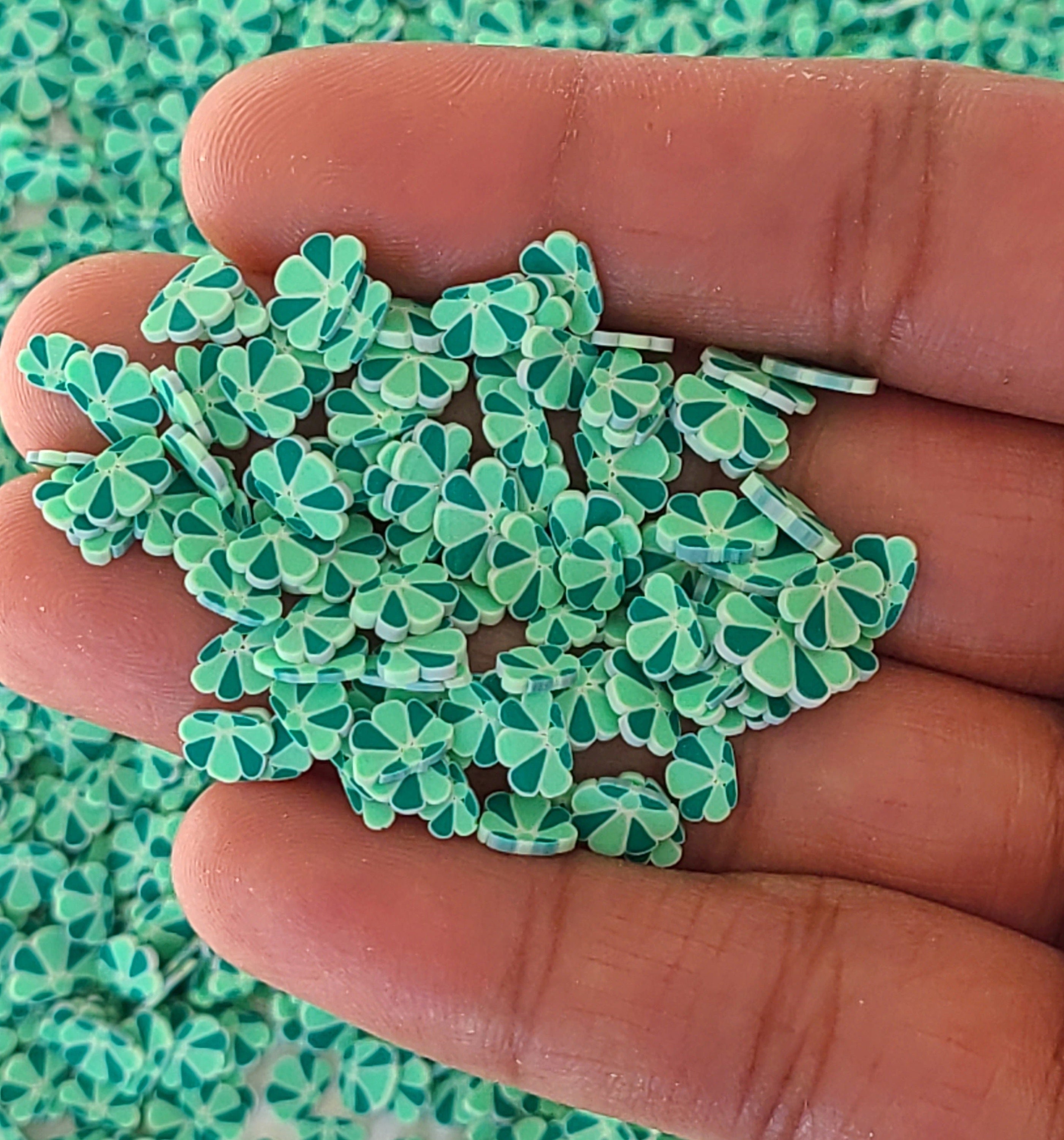 Green Sea Shell Slice, Clamshell Slice, Craft Supplies, NON EDIBLE ...