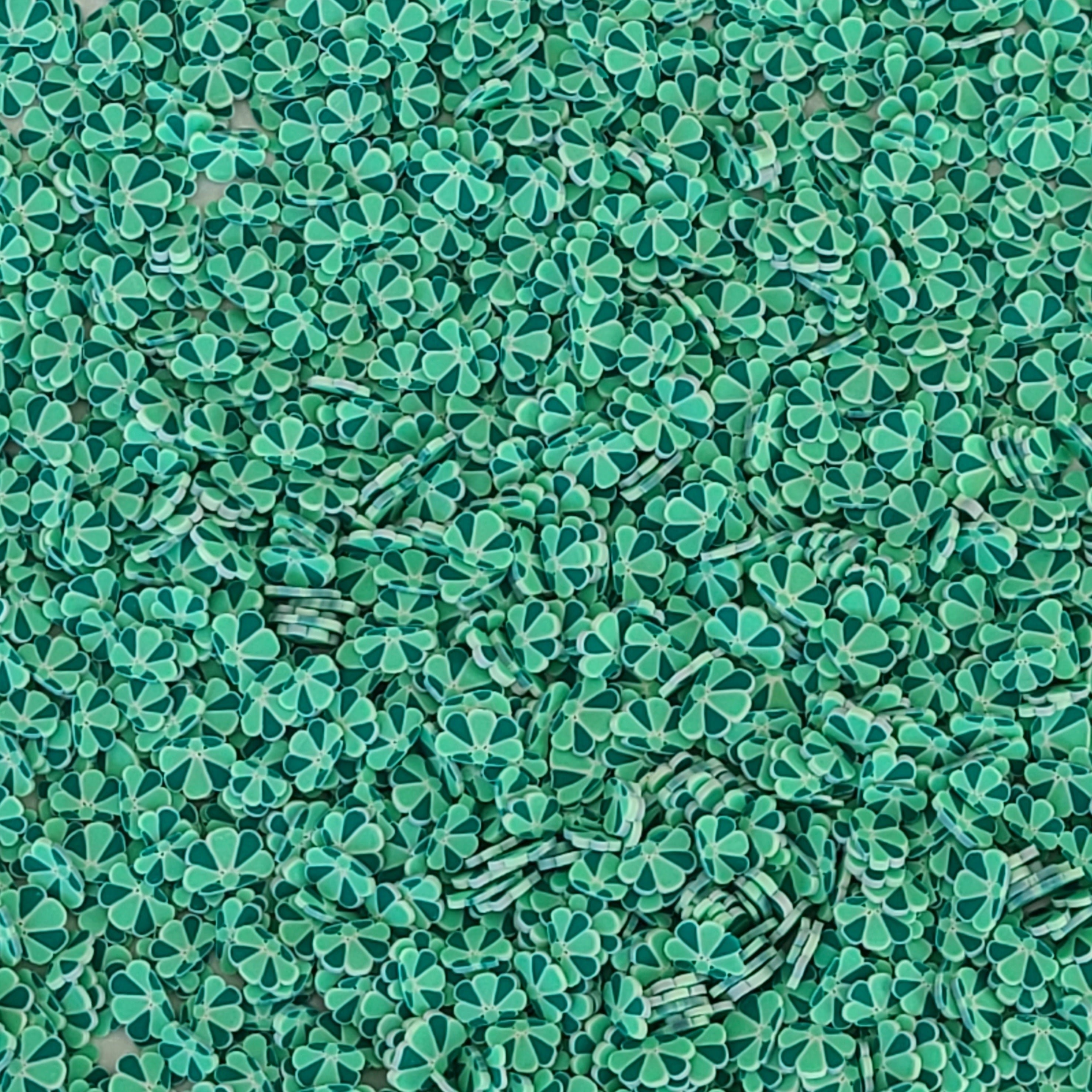 Green Sea Shell Slice, Clamshell Slice, Craft Supplies, NON EDIBLE ...