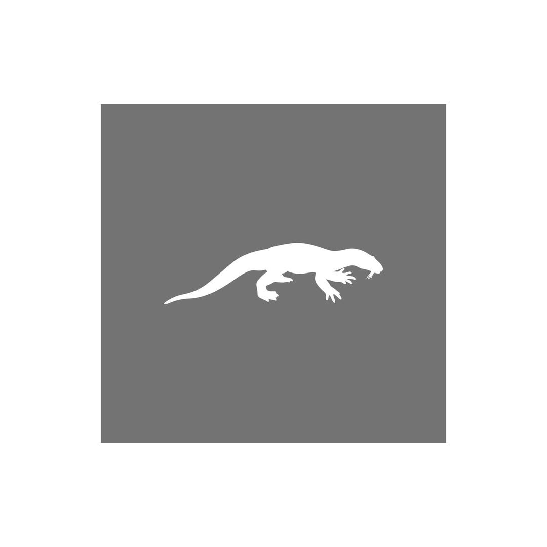 Komodo Dragon Stencil - Reusable Mylar Stencil for Crafts, Walls ...