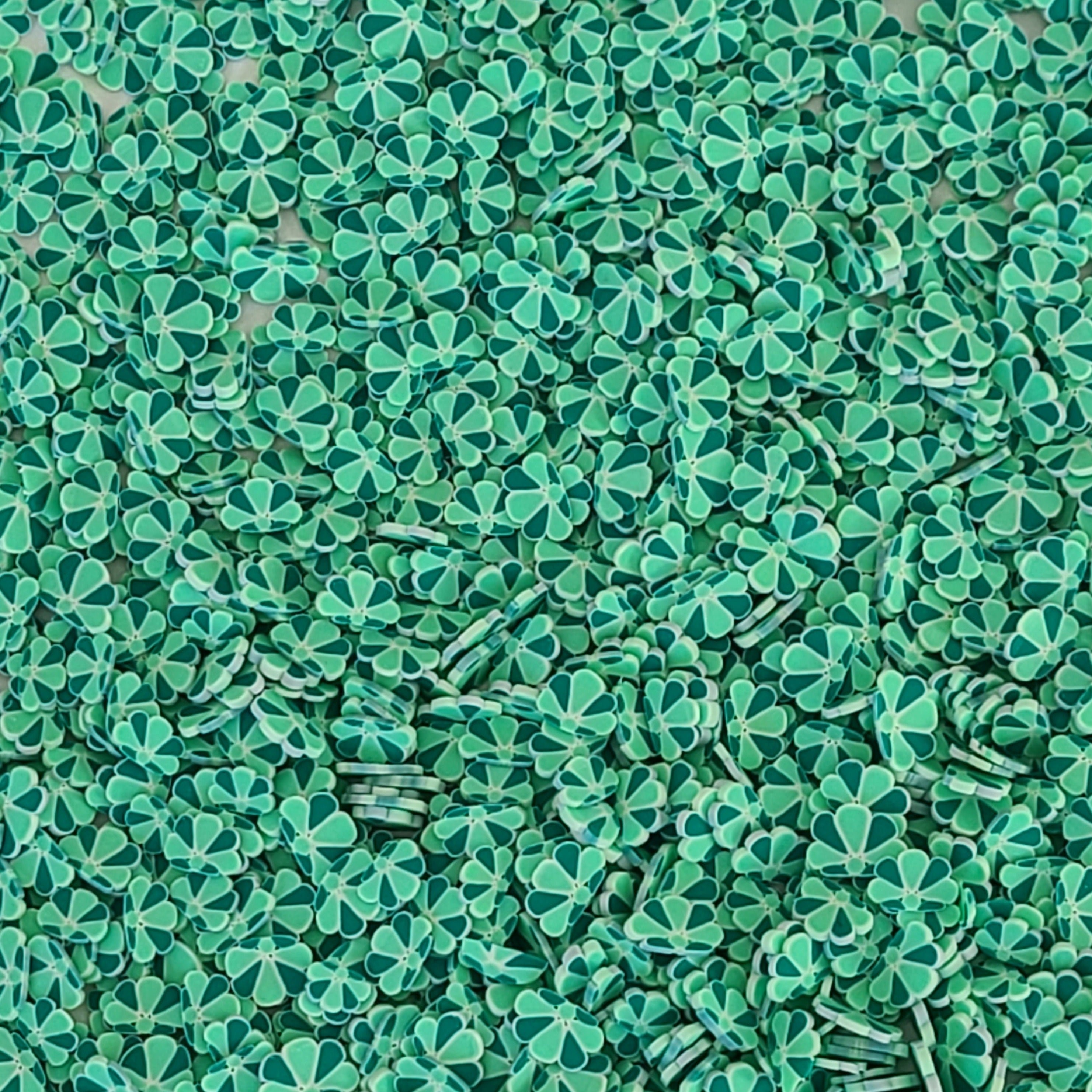 Green Sea Shell Slice, Clamshell Slice, Craft Supplies, NON EDIBLE ...
