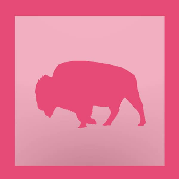 Buffalo Stencil - Etsy