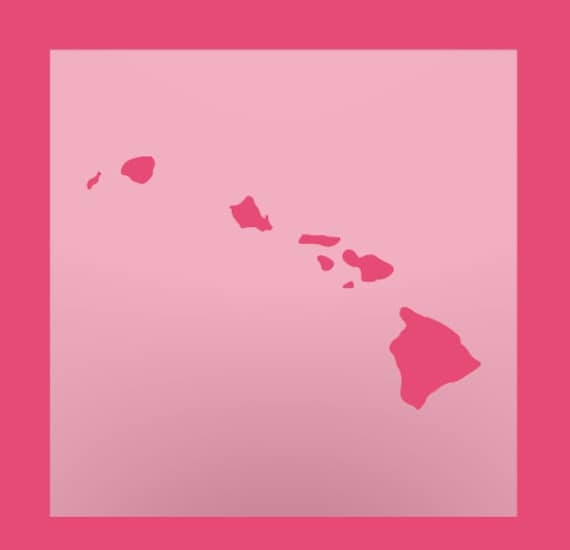 Hawaii State Map Stencil DIY Stencil Cookie Stencil | Etsy